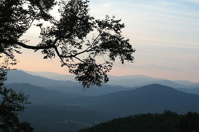 Daniel Boone National Forest: Where We Toast the Trees | Angel's Envy US